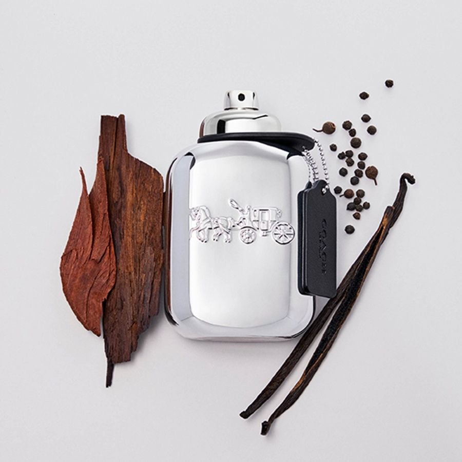 COACH Coach Man Platinum Eau de Parfum online la DOUGLAS